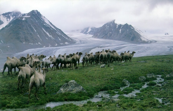 Уур амьсгалын өөрчлөлт хүрээлэн буй орчин болон нутгийн иргэдэд түшиглэсэн аялал жуулчлал